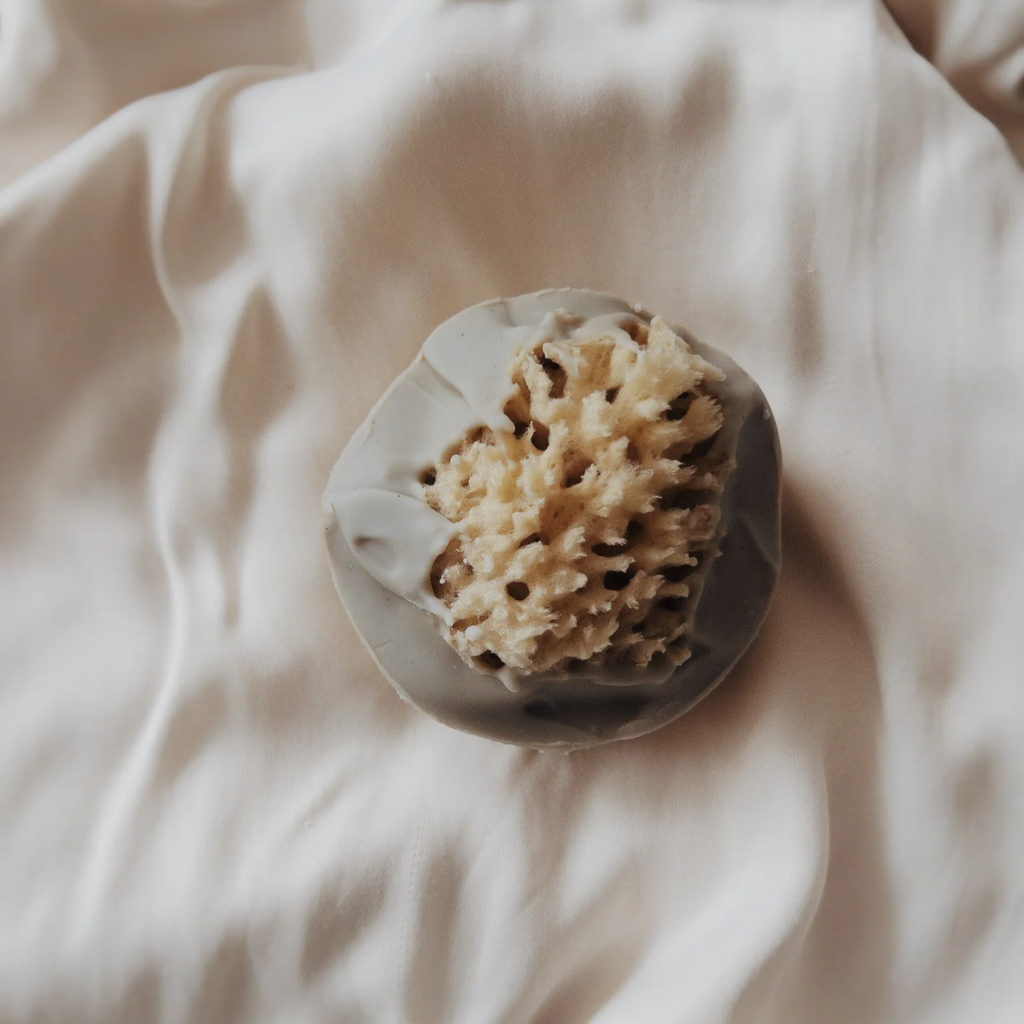Sea Siren Sea Sponge & Sea Moss Gel | Handcrafted Soap – Wild Grace